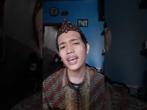 UNGKAP ARTI LAGU TOKECANG SEBENERNYA❗❗❗SIAPIN MENTAL DENGERINNYA 🤫
