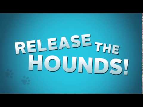 Denver International Airport CATS K-9 Therapy Dogs - Meet Charley!