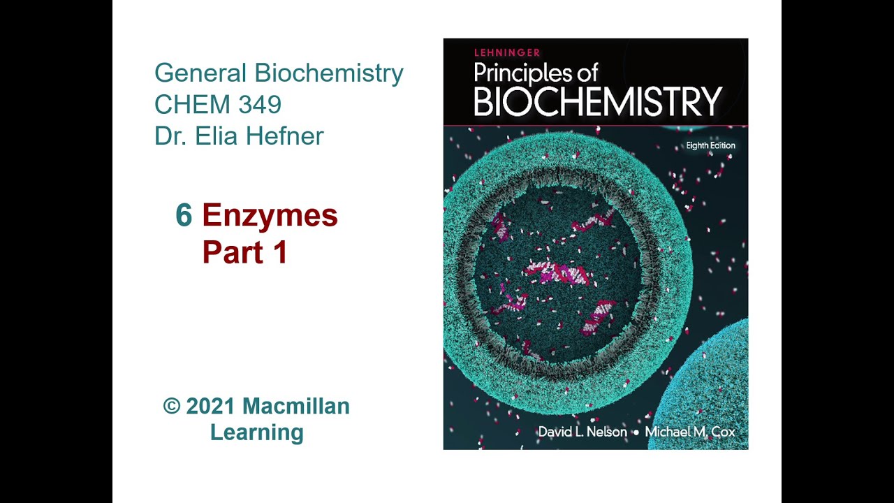 Chapter 6 - Enzymes (Part 1)