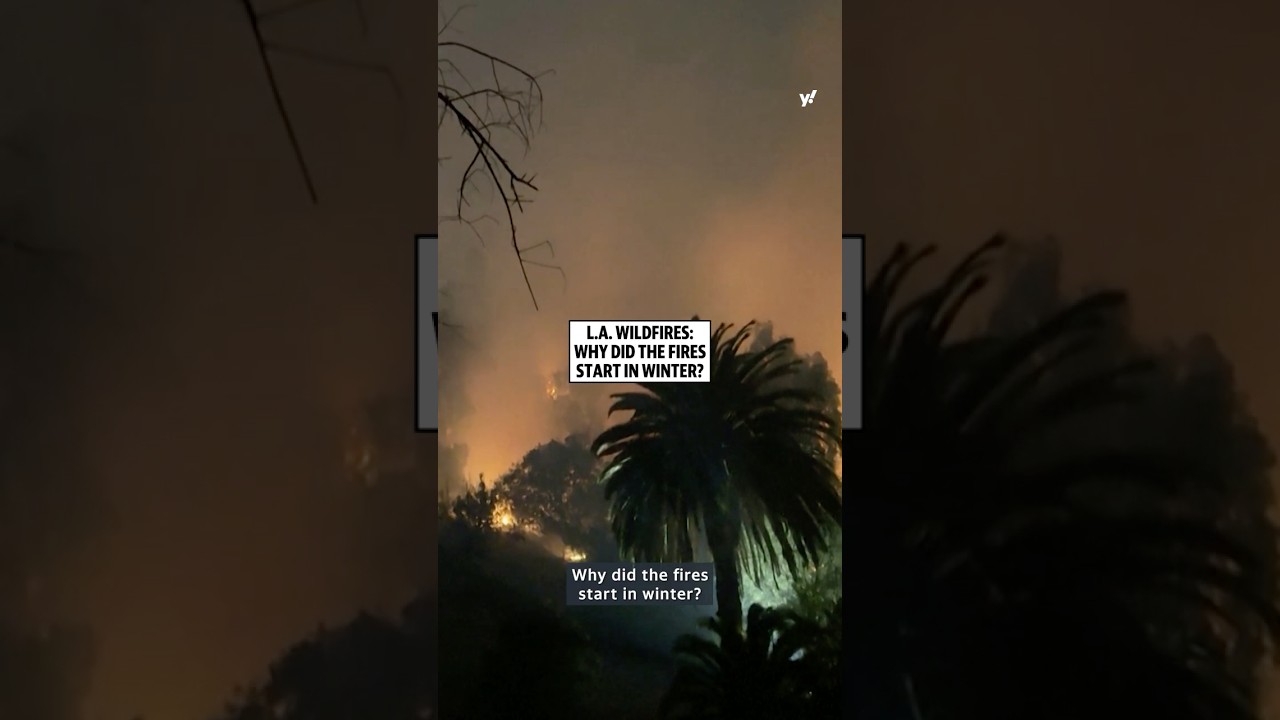 Why did the L.A. fires start in winter?