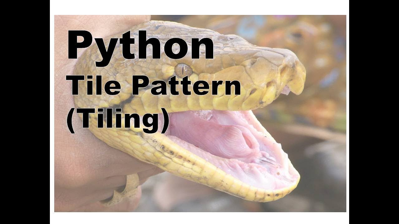 540-Python Tiles/Tiling, Graphics