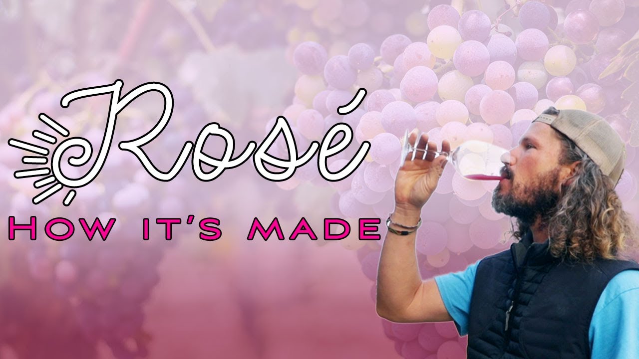 How to MAKE Rosé 🍷 Pink Winemaking Techniques