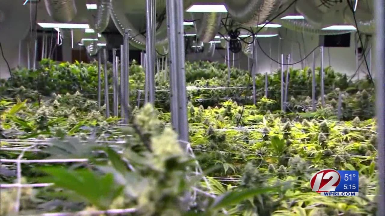 Managing marijuana: How a Mass. lab makes sure it's safe for patients