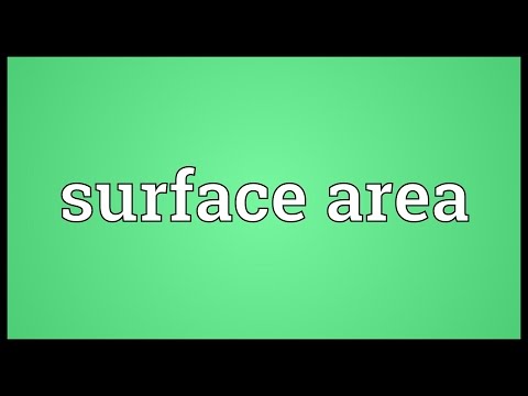 Surface area Meaning