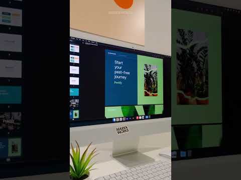 Branding work for Pestify . Web design and Branding agency.