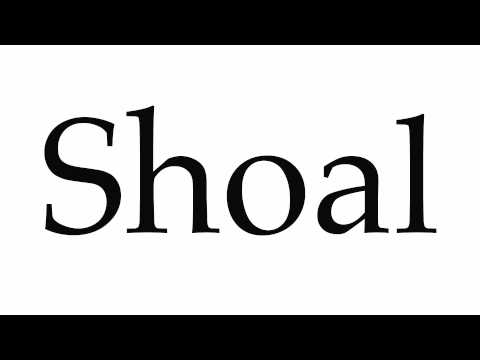 How to Pronounce Shoal