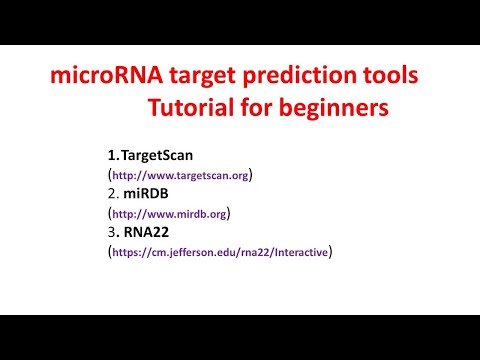 miRNA target prediction tools tutorial | Targetscan | miRDB | RNA22|