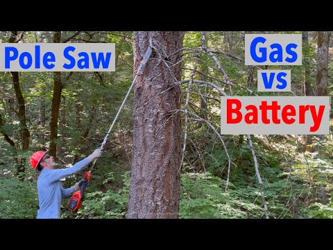 Gas Pole Saw vs Battery - Which is Best?
