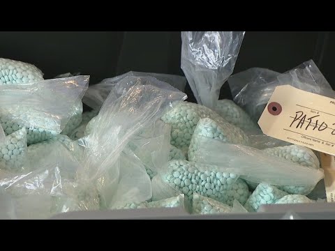 'One pill can kill': Record 1.7 million fentanyl pills seized in Arizona in major drug bust