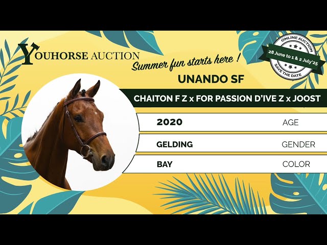 Youhorse.auction | Unando SF