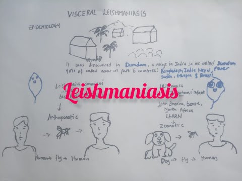 UNDERSTAND LEISHMANIASIS(VISCERAL, CUTANEOUS, MUCOCUTANEOUS)