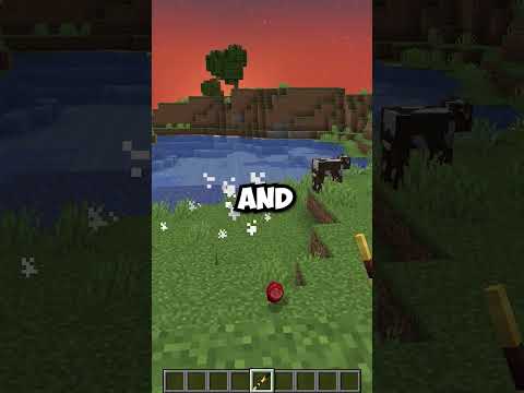 How to Live Inside a Beehive in Minecraft | Mod is The Bumblezone by telepathicgrunt