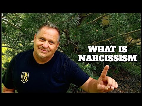 How to deal with a Narcissist in 5 minutes (Angels Powerful Answer)
