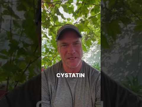 How a Carnivore Diet Affects Your Serum Creatinine Levels