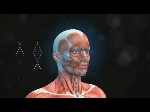The Science Behind Testosterone Levels: A Deep Dive