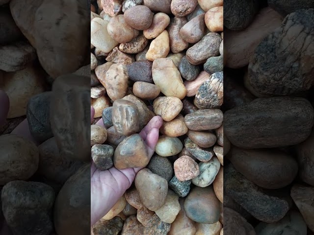 Stone Gravel - 15mm Filter Media Stone Gravel Trader - Wholesaler ...