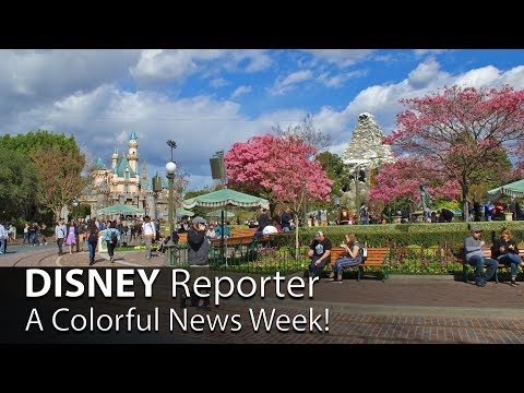A Colorful News Week! - DISNEY Reporter