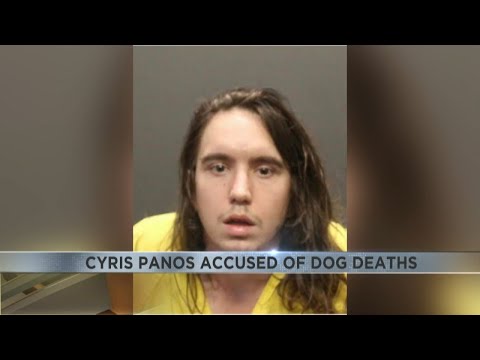 Cyrus Panos accused of killing two dogs
