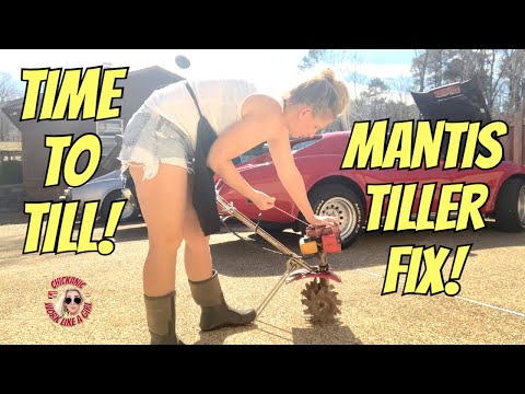 How to fix a Mantis Tiller 2 Cycle that has been sitting Zama Carb rebuild Repair Vlog