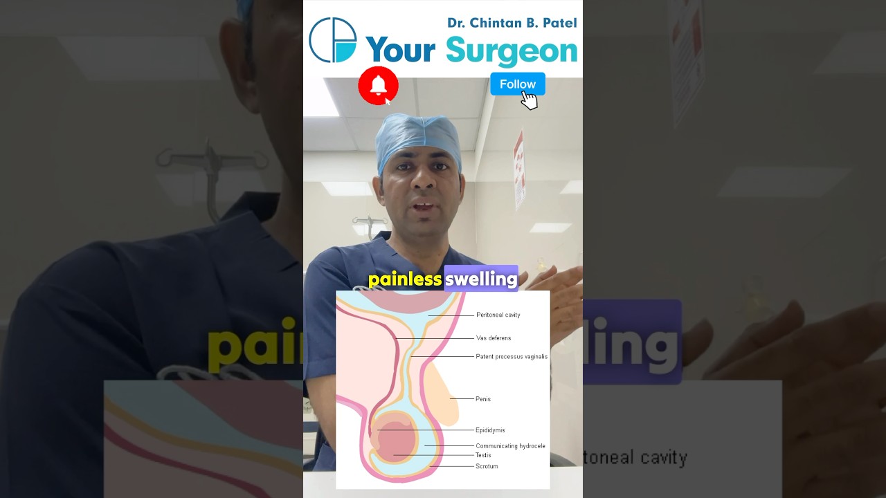 TESTICLES SWELLING ? What is HERNIA VS HYDROCELE ? In ENGLISH