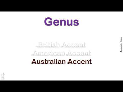 Genus How to Pronounce Genus in Australian Accent, British Accent, American Accent ?