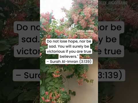 #islam #islamic #instagram #quran #quotes #motivational #trending #trendingshorts