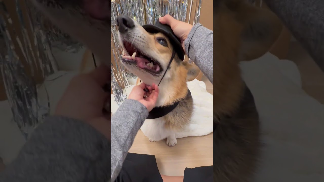 Longer version of yesterday's video. Happy New Year!