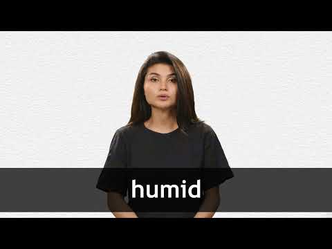 HUMID - Definition & Translations | Collins English Dictionary