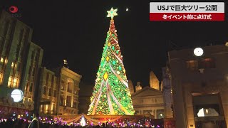 【速報】USJで巨大ツリー公開 冬イベント前に点灯式|47NEWS（よんななニュース）