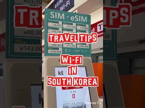 travel tips about using Wi-Fi in South Korea, helpful for tourists and couples exploring the country