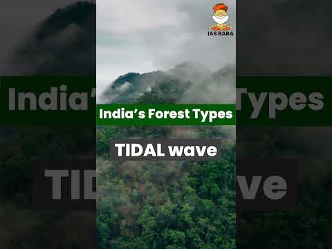 Mnemonics for Prelims 2025|Types of Indian Forest - Tidal Waves|