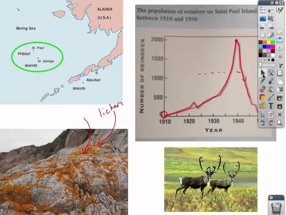 Population lecture Part 1