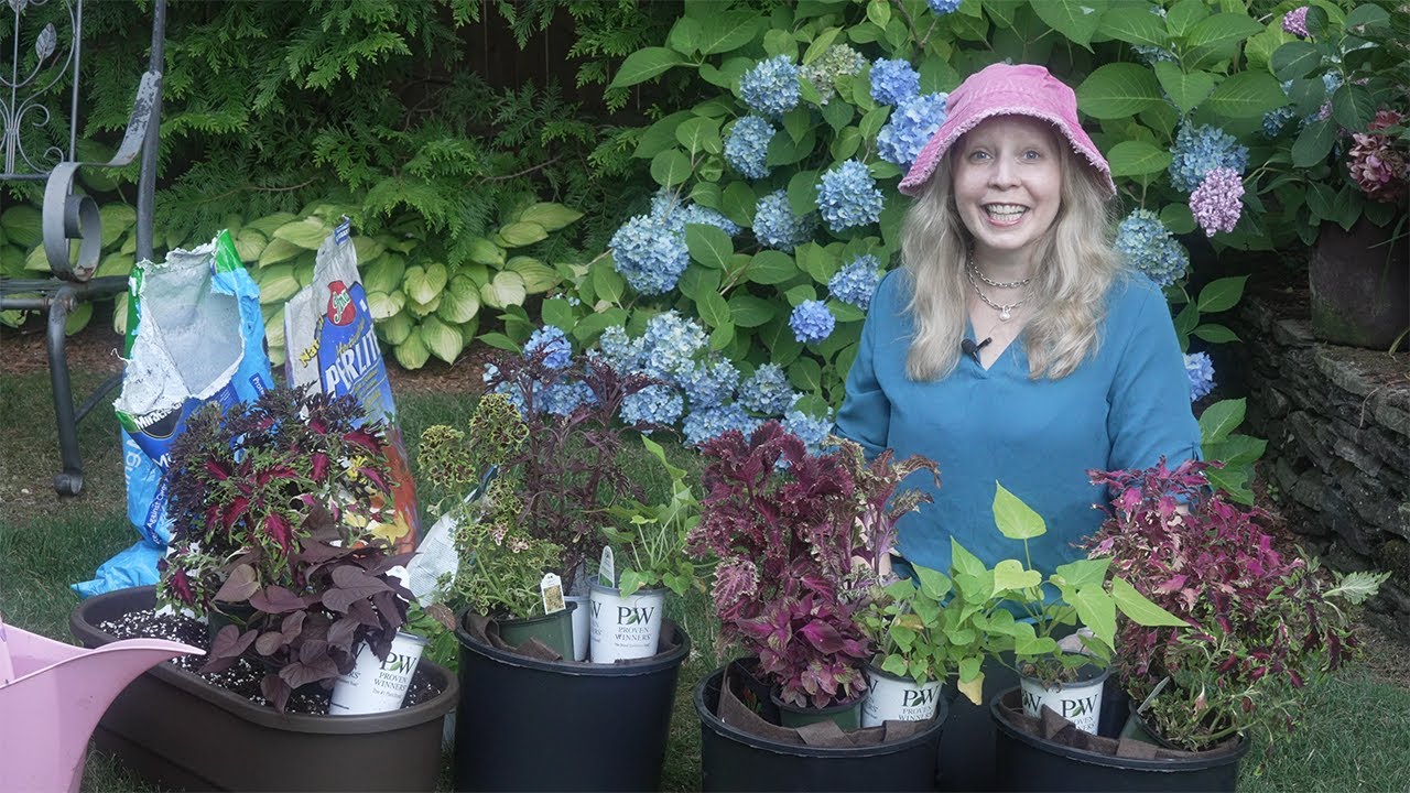 Unique Coleus Planters