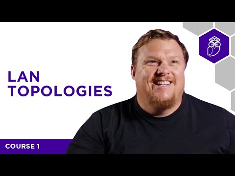 LAN Topologies