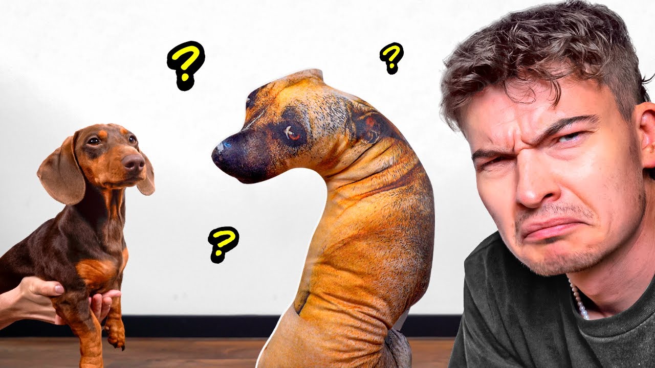 I Bought The Weirdest Dog Toys