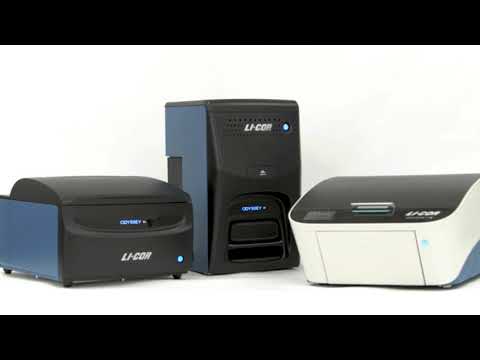 Gel Documentation System - Gel Imaging System Latest Price ...