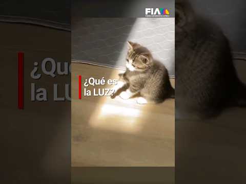 #ConFIAEnLaCiencia | ¿Y tú? ¿Sabes qué es la luz? ¡Te lo explicamos!