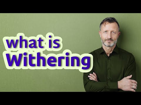 Withering | Definition of withering