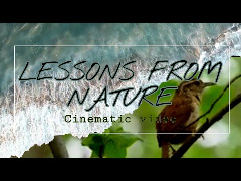 THE LESSONS FROM NATURE- LINDA/ POEM/Cinematic Video