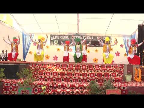Punjabi Eastern Bhangra