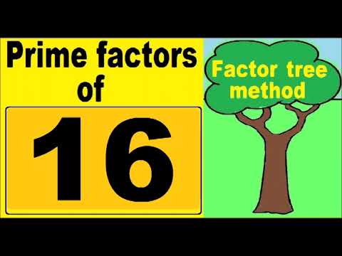 Prime factors of 16.