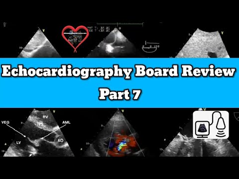 Echocardiography Registry Review