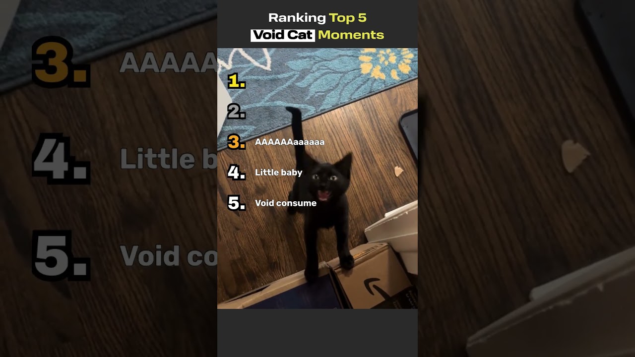 Ranking Top 5 Void Cat Moments