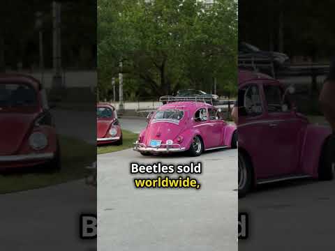 10 Fascinating Volkswagen Beetle Facts in 60 Seconds