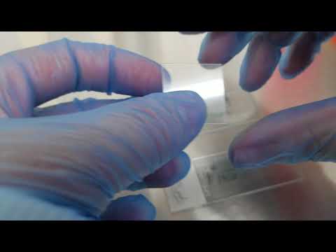 Microscopic Glass Slides - Frosted Glass Slide Latest Price ...