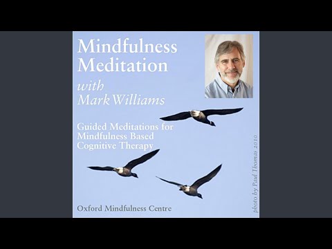 30 Min Silent Meditation (Bells At 5, 10, 15, 20 & 30 Mins)