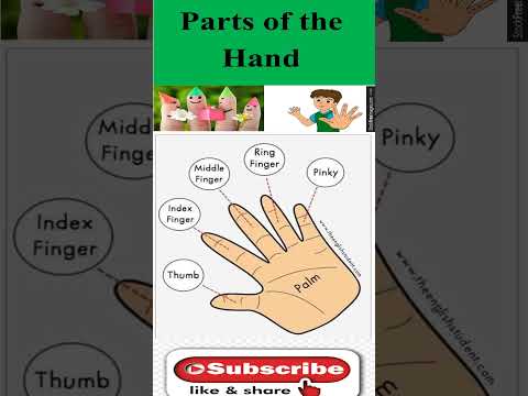 Parts of the Hand | Finger Names #educationalforum