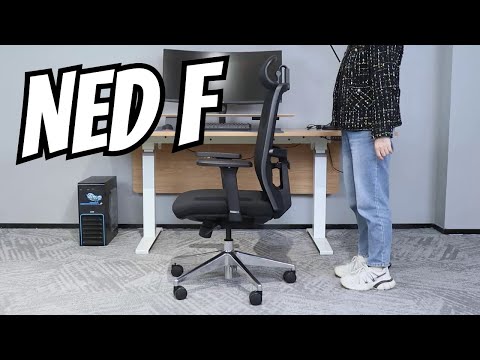 Krzesło biurowe NED F 1+1 GRATIS, czarny | B2B Partner