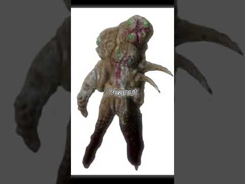 SCP SL Rhymes