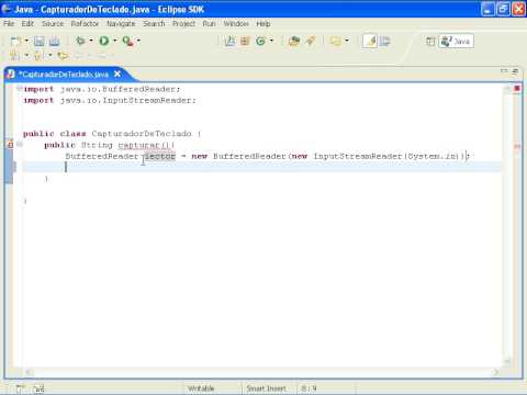Leer Desde Consola con Java | Evita